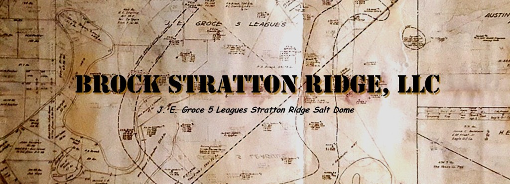 Stratton Ridge Salt Dome Property - Brock Stratton Ridge LLC